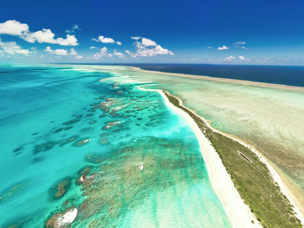 Development of a Biodiversity Stewardship Programme in Mauritius - Rio ...